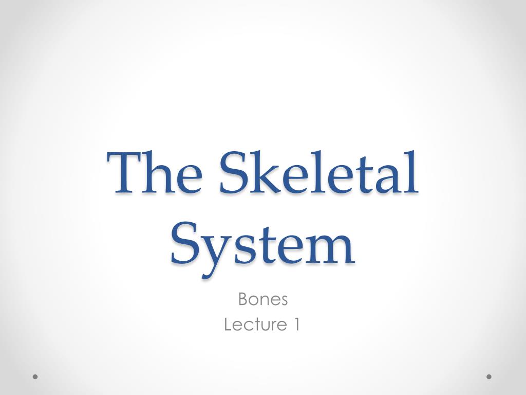 PPT - The Skeletal System PowerPoint Presentation, free download - ID ...