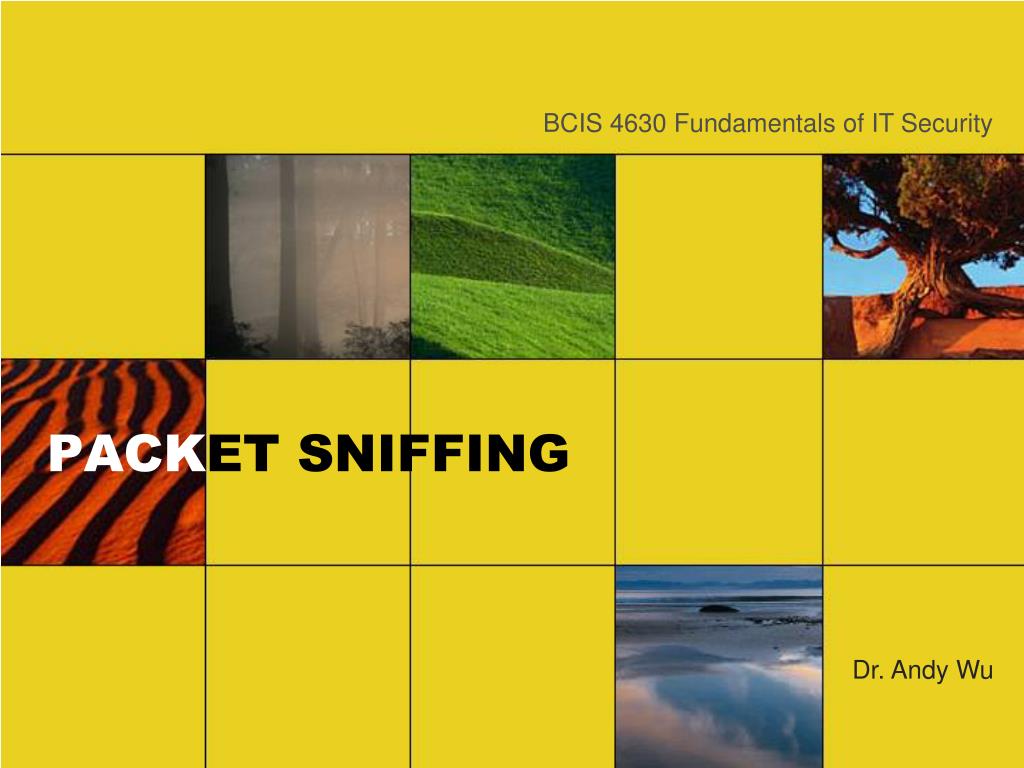 PPT - PACK ET SNIFFING PowerPoint Presentation, free download - ID:1973599
