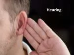 PPT - HEARING PowerPoint Presentation, free download - ID:5633253