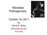 PPT - Chapter 15: Microbial Pathogenesis PowerPoint Presentation, free download - ID:247650