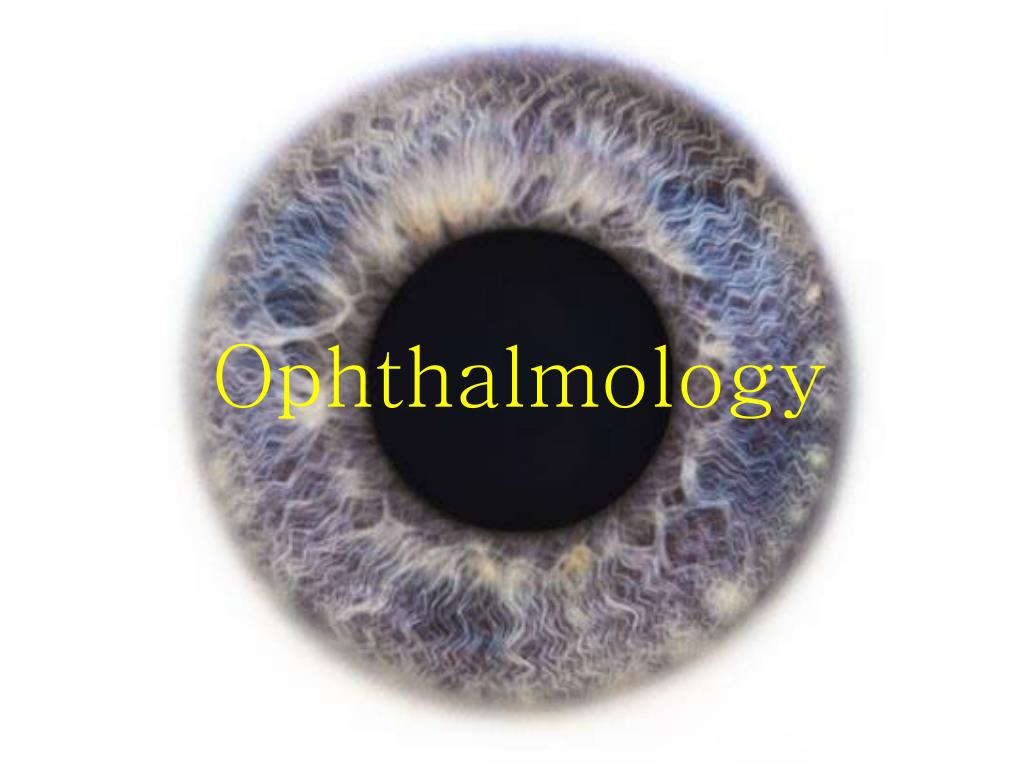 PPT - Ophthalmology PowerPoint Presentation, free download - ID:1976198
