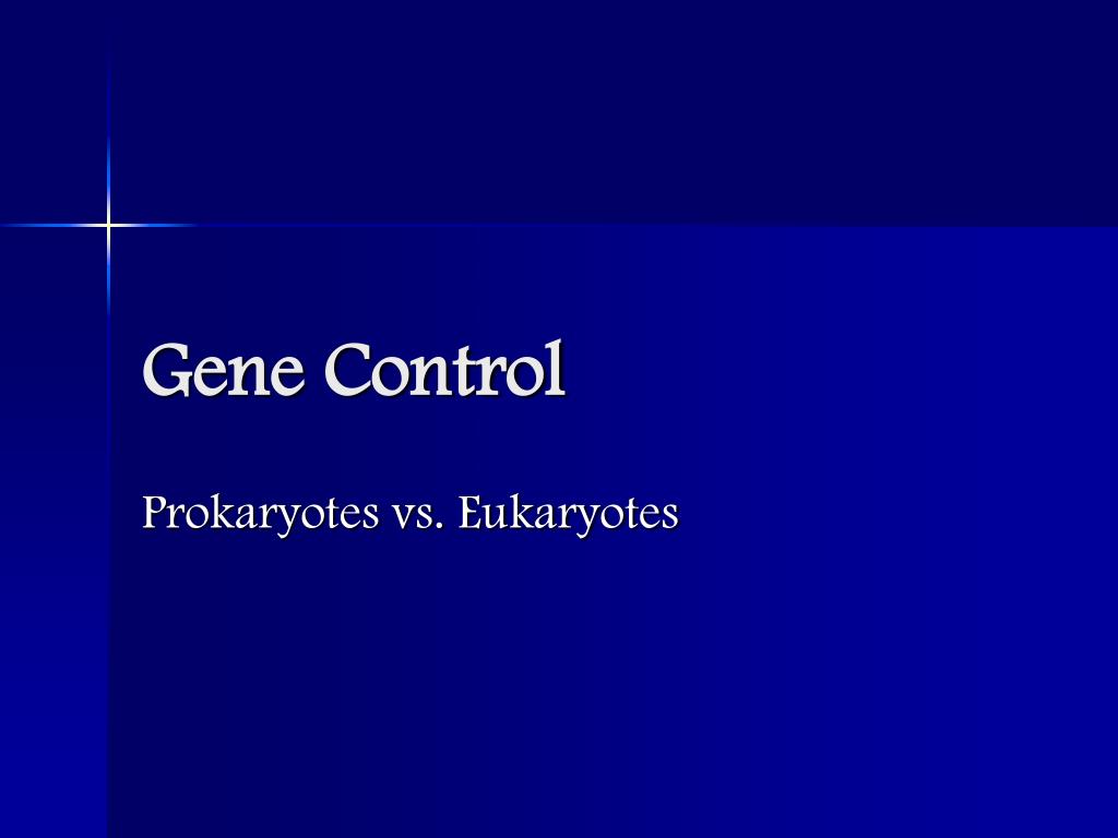 PPT - Gene Control PowerPoint Presentation, free download - ID:1976462