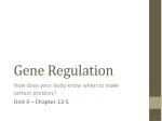 PPT - Gene regulation by riboswitches PowerPoint Presentation, free ...