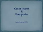 PPT - Ocular Trauma PowerPoint Presentation, free download - ID:9269635