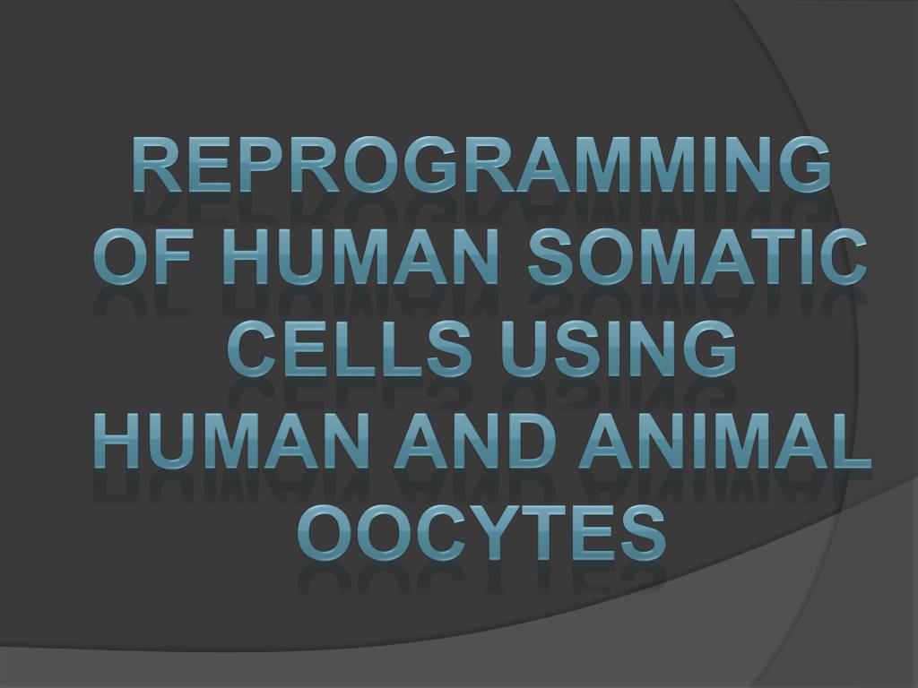 PPT - Reprogramming of Human Somatic Cells Using Human and Animal ...