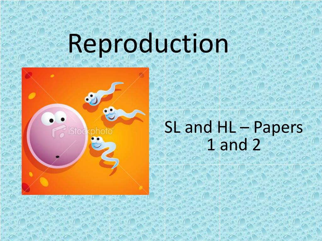 PPT - Reproduction PowerPoint Presentation, free download - ID:1977301