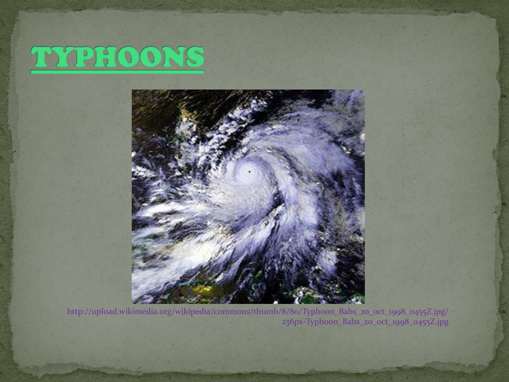 PPT - TYPHOONS PowerPoint Presentation, free download - ID:1977775