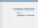 PPT - Livestock Nutrition PowerPoint Presentation, free download - ID ...