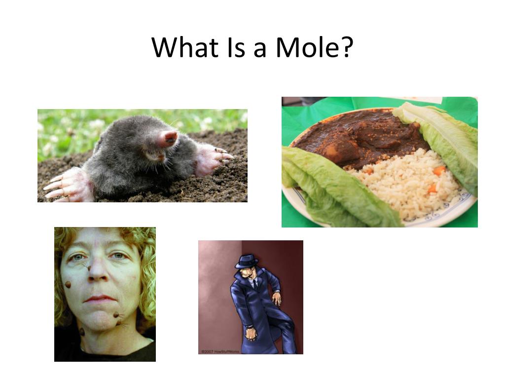 PPT - What Is a Mole? PowerPoint Presentation, free download - ID:1979921
