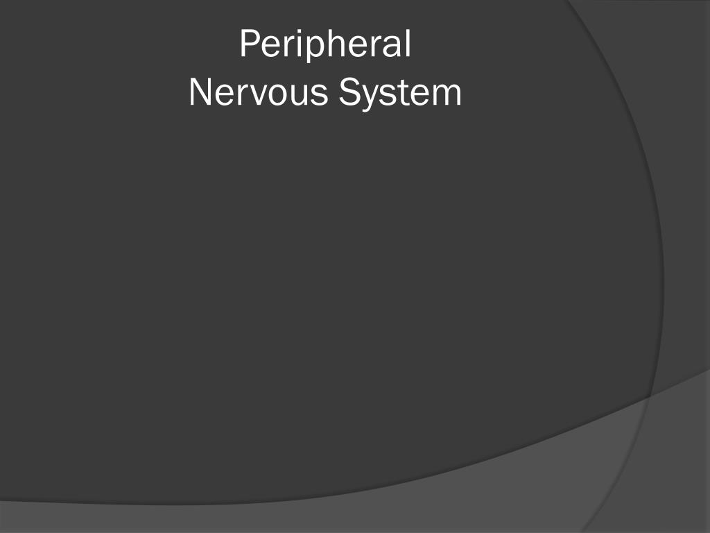 PPT - Peripheral Nervous System PowerPoint Presentation, free download ...