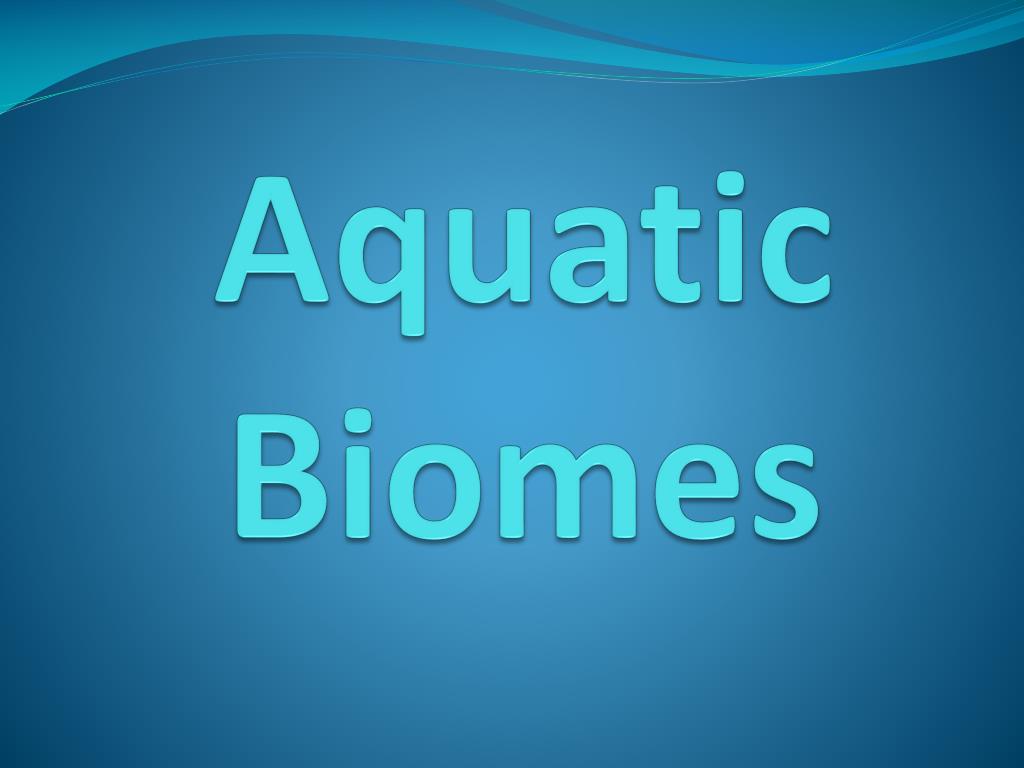 PPT - Aquatic Biomes PowerPoint Presentation, free download - ID:1981076