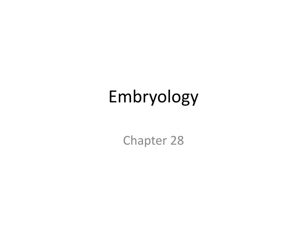 PPT - Embryology PowerPoint Presentation, free download - ID:1981306