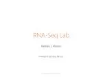 PPT - RNA-Seq and Transcriptome A nalysis PowerPoint Presentation, free ...