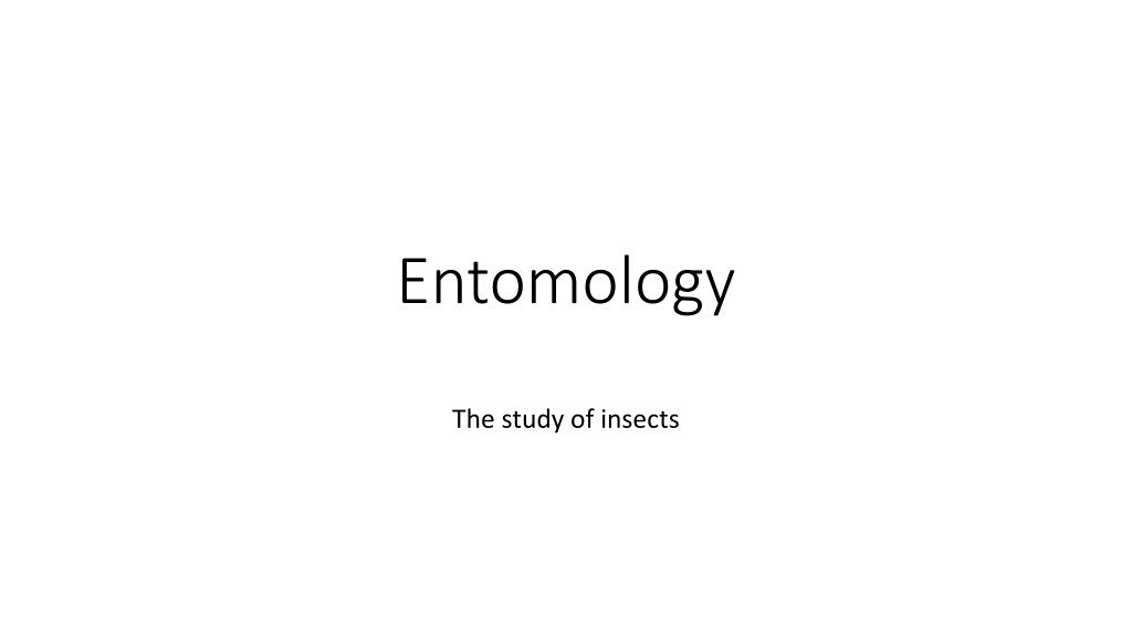 PPT - Entomology PowerPoint Presentation, free download - ID:1982160