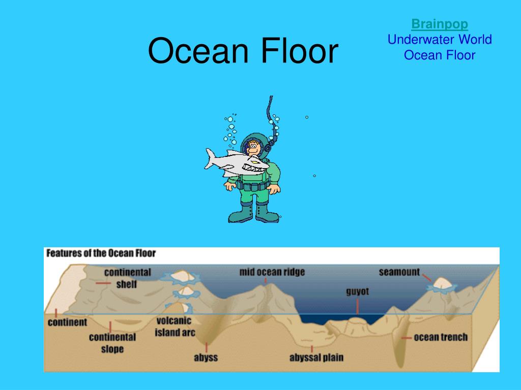 PPT - Ocean Floor PowerPoint Presentation, free download - ID:1982676