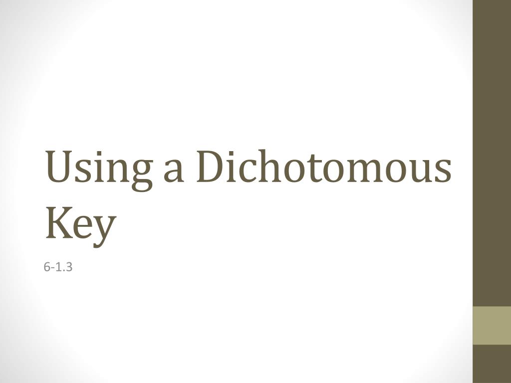PPT - Using a Dichotomous Key PowerPoint Presentation, free download ...