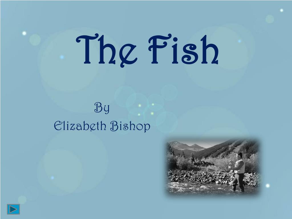 PPT - The Fish PowerPoint Presentation, free download - ID:1983991