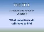 PPT - Chapter 12 CPU Structure and Function PowerPoint Presentation ...