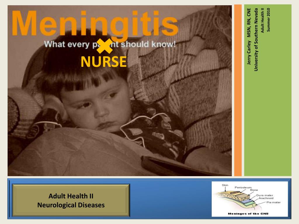 PPT - Meningitis PowerPoint Presentation, free download - ID:1985097
