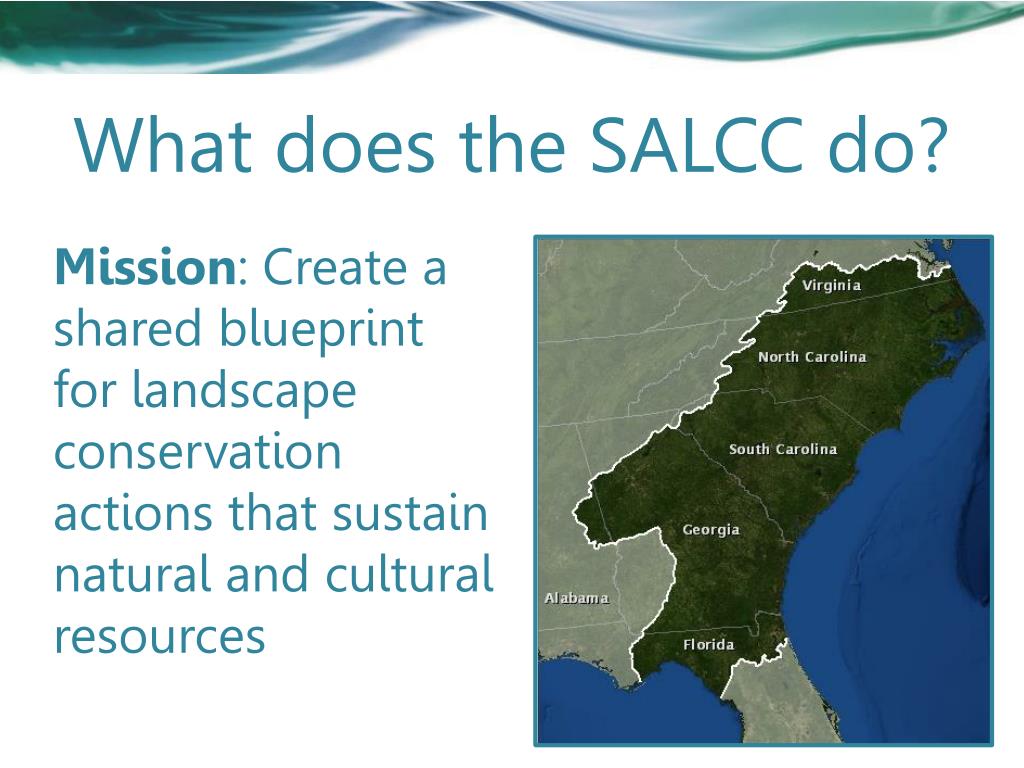 PPT - What does the SALCC do? PowerPoint Presentation, free download ...