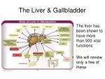PPT - The Liver, Gallbladder and Biliary Tree PowerPoint Presentation ...