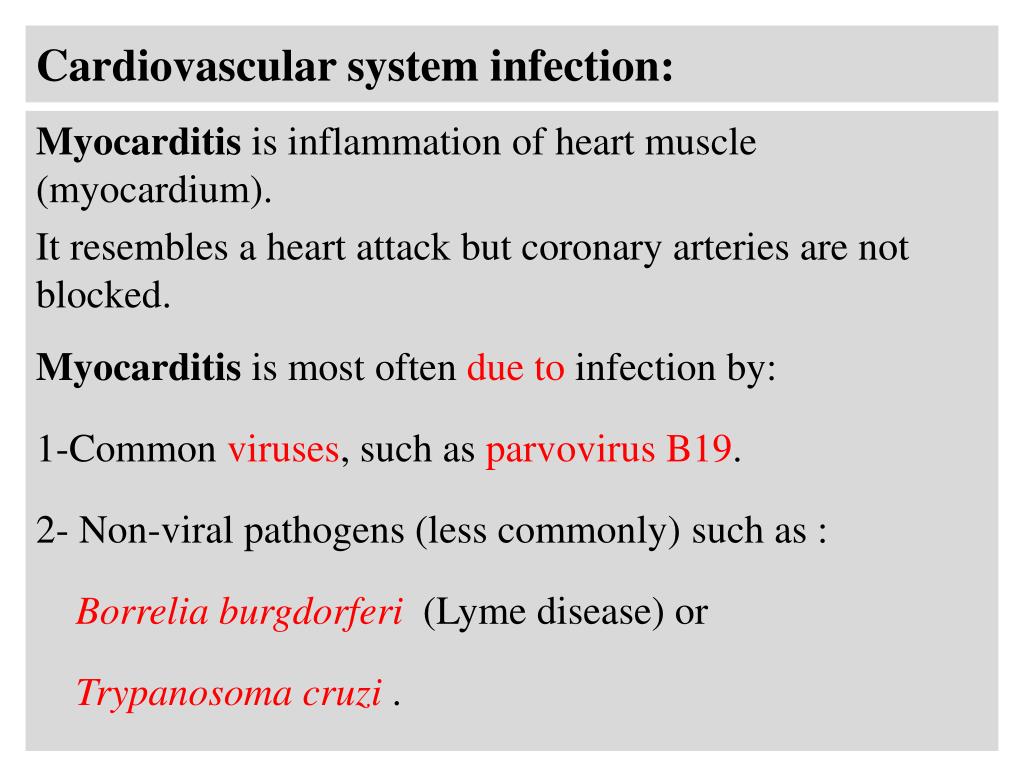 PPT - Cardiovascular system infection: PowerPoint Presentation, free ...