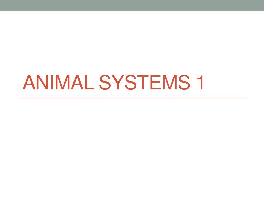 PPT - Animal Systems 1 PowerPoint Presentation, free download - ID:1989382