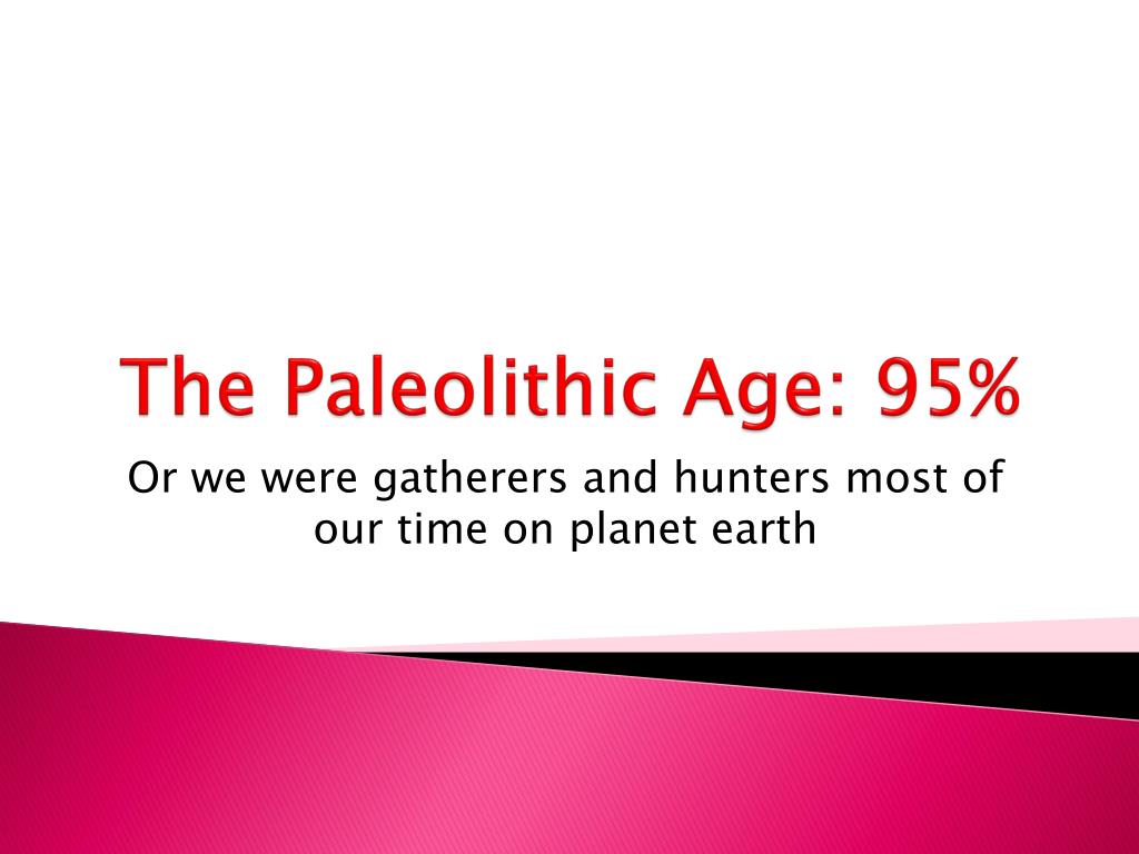 PPT - The Paleolithic Age: 95% PowerPoint Presentation, free download ...