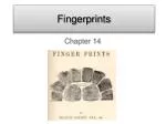 PPT - Fingerprints PowerPoint Presentation, free download - ID:772362