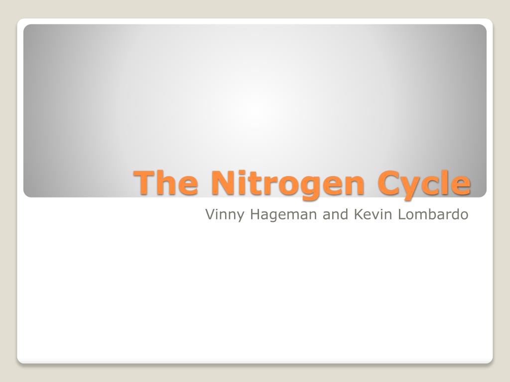 PPT - The Nitrogen Cycle PowerPoint Presentation, free download - ID ...