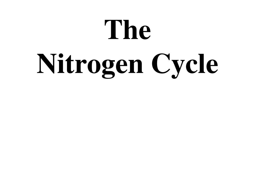 PPT - The Nitrogen Cycle PowerPoint Presentation, free download - ID ...