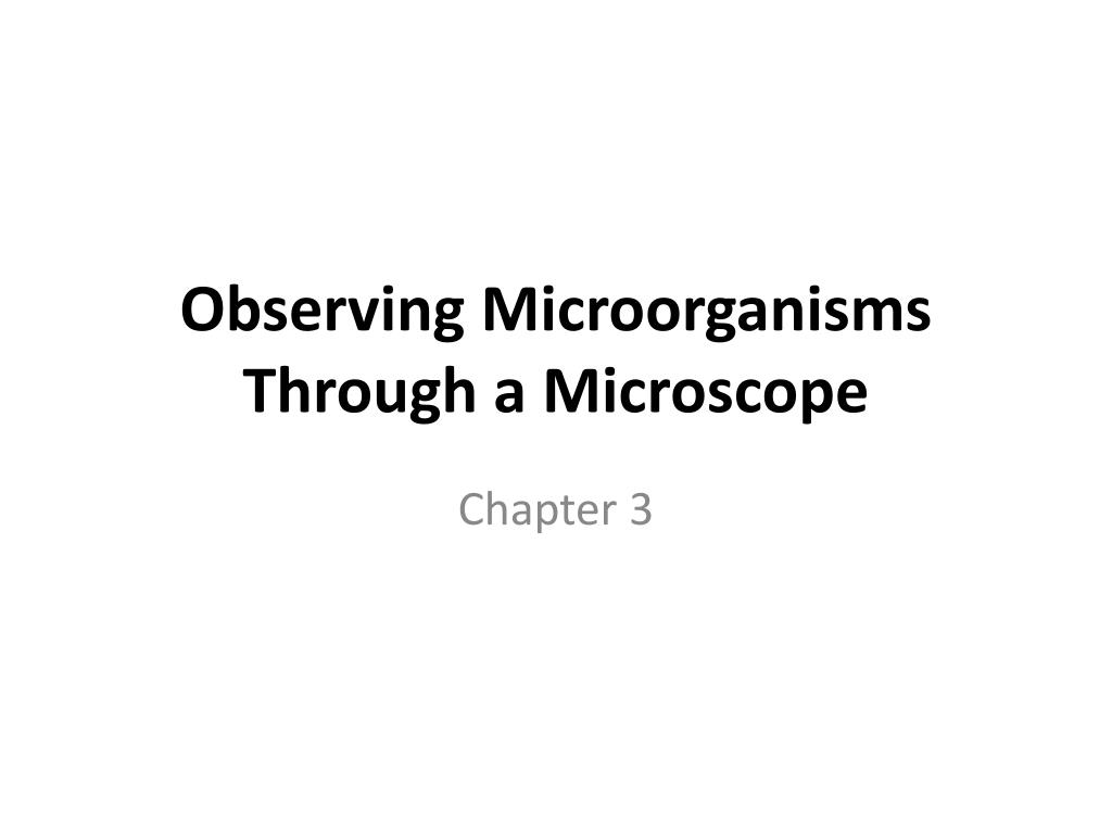 PPT - Observing Microorganisms Through a Microscope PowerPoint Presentation - ID:1993442