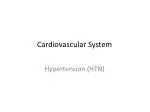 PPT - CARDIOVASCULAR SYSTEM PowerPoint Presentation, free download - ID ...