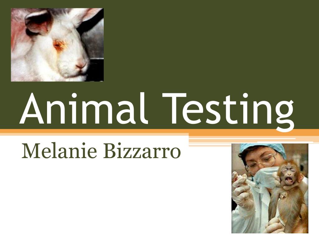 PPT - Animal Testing PowerPoint Presentation, free download - ID:1994539
