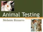 PPT - Animal Testing PowerPoint Presentation, free download - ID:5546059