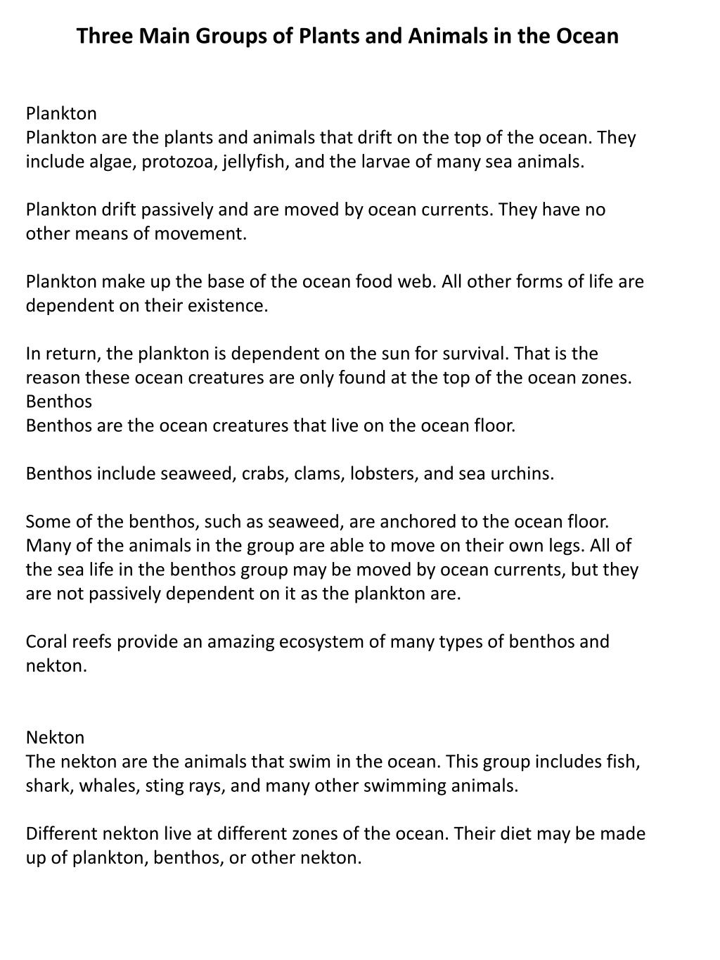 PPT - Plankton PowerPoint Presentation, free download - ID:1995809