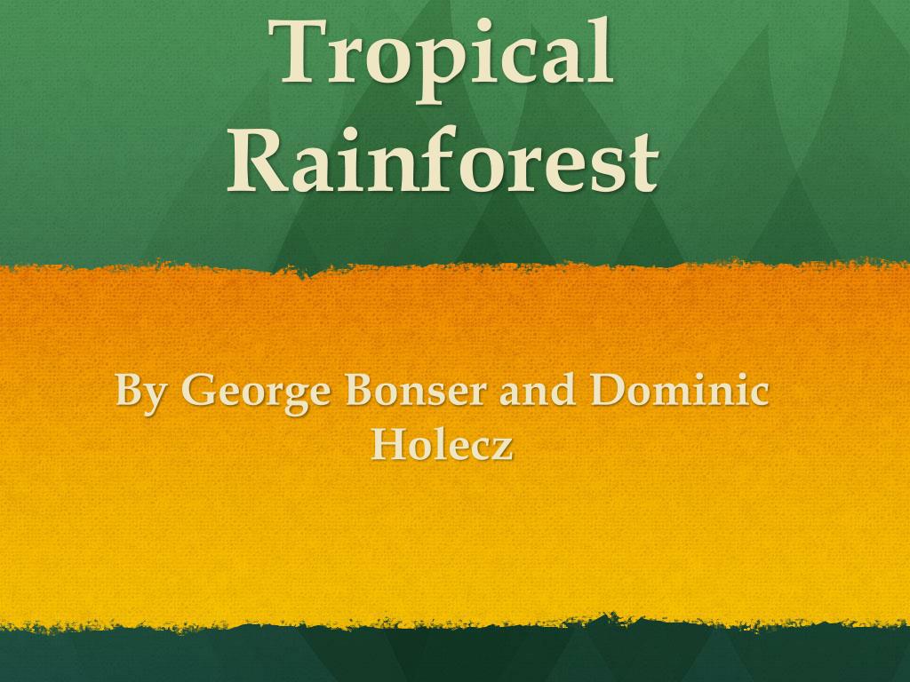 PPT - Tropical Rainforest PowerPoint Presentation, free download - ID ...
