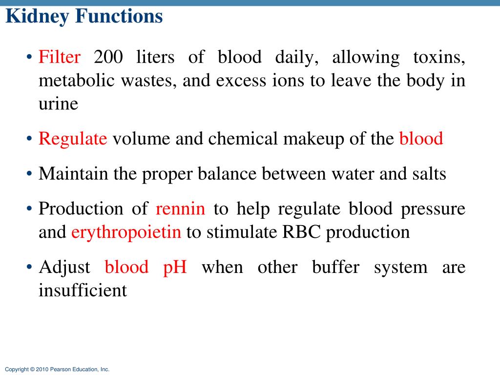 PPT - Kidney Functions PowerPoint Presentation, free download - ID:1996339