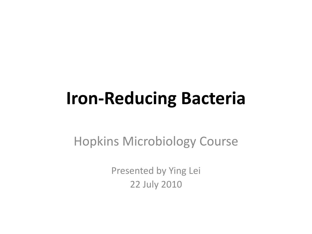 PPT - Iron-Reducing Bacteria PowerPoint Presentation, free download ...