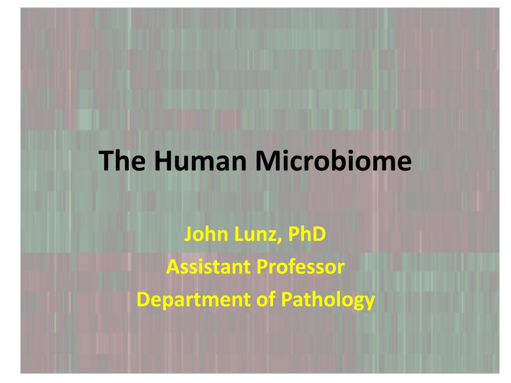 PPT - The Human Microbiome PowerPoint Presentation, free download - ID ...