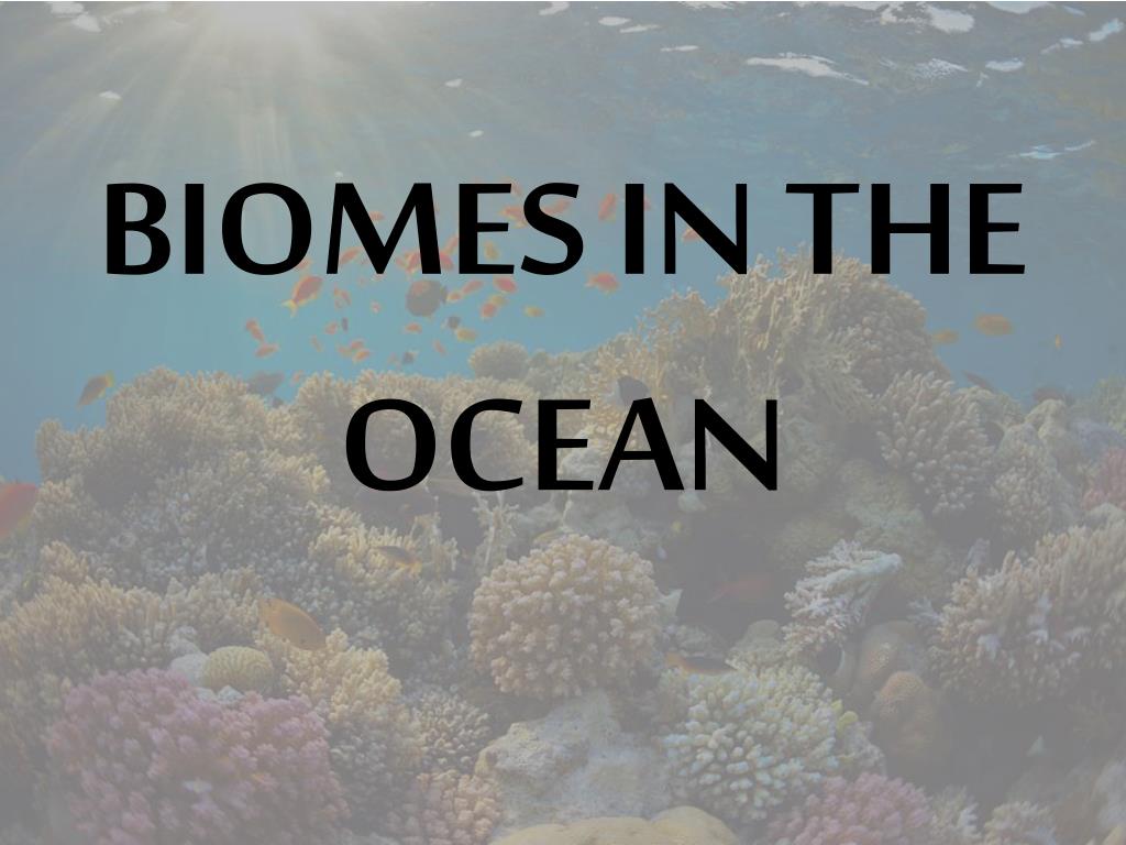 PPT - BIOMES IN THE OCEAN PowerPoint Presentation, free download - ID ...