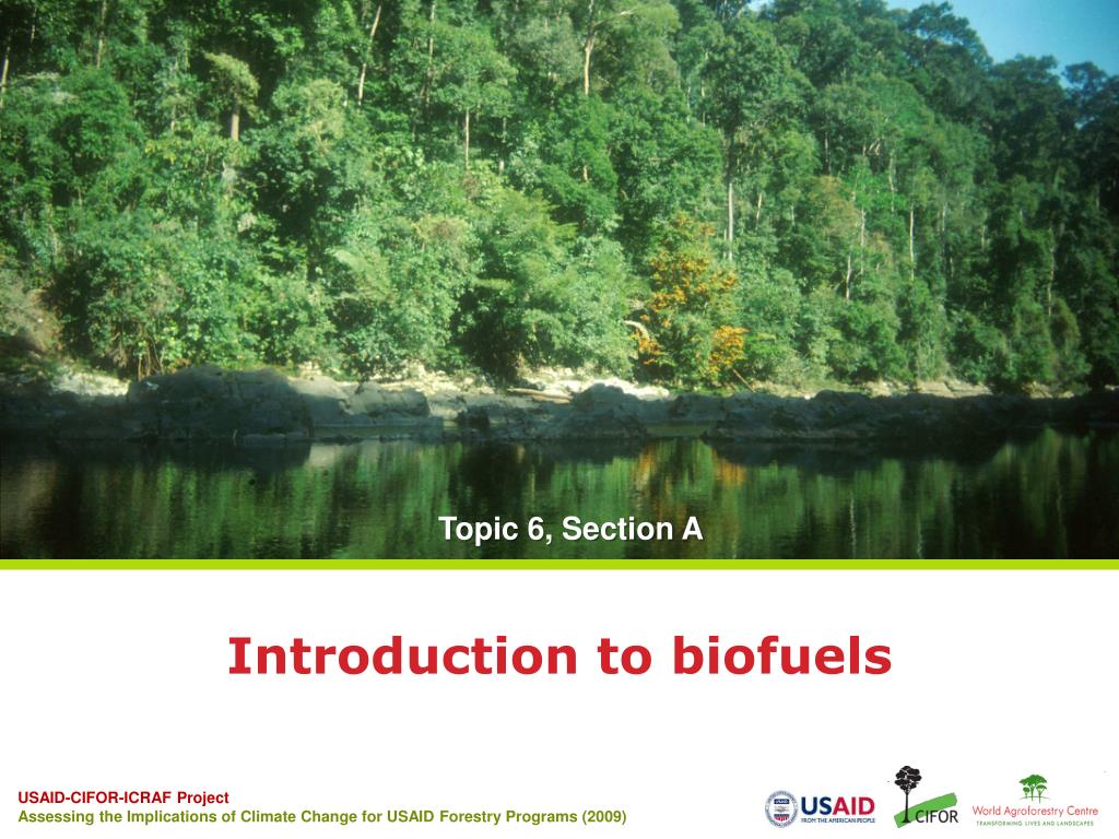 PPT - Introduction to biofuels PowerPoint Presentation, free download ...