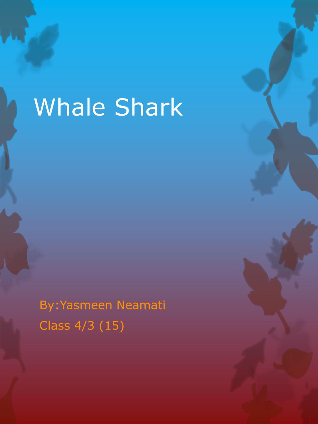 PPT - Whale Shark PowerPoint Presentation, free download - ID:1996671