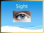 PPT - Sight PowerPoint Presentation, free download - ID:4551455