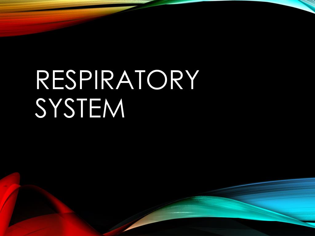 PPT - Respiratory System PowerPoint Presentation, free download - ID ...