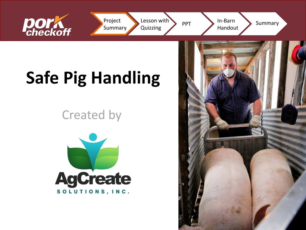PPT - Safe Pig Handling PowerPoint Presentation, free download - ID:1998540