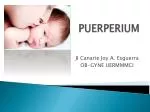 PPT - NORMAL PUERPERIUM PowerPoint Presentation, free download - ID:9406975