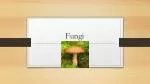 PPT - Fungi PowerPoint Presentation, free download - ID:1220364