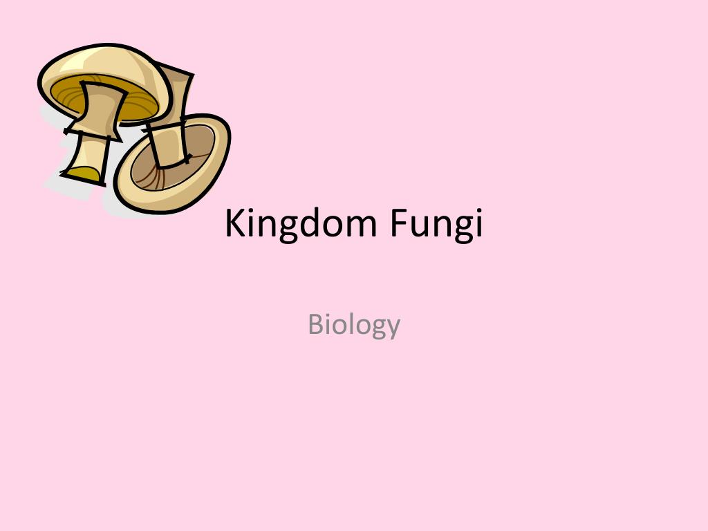 PPT - Kingdom Fungi PowerPoint Presentation, free download - ID:2000512