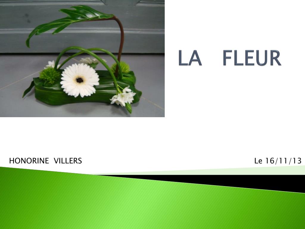 PPT - LA FLEUR PowerPoint Presentation, free download - ID:2000515